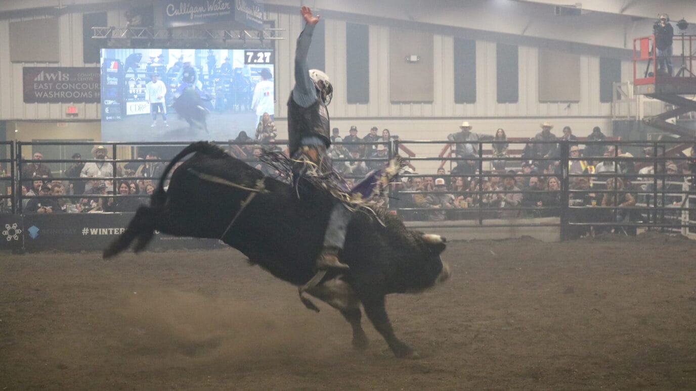 Synergy considers merger | Meridian Source