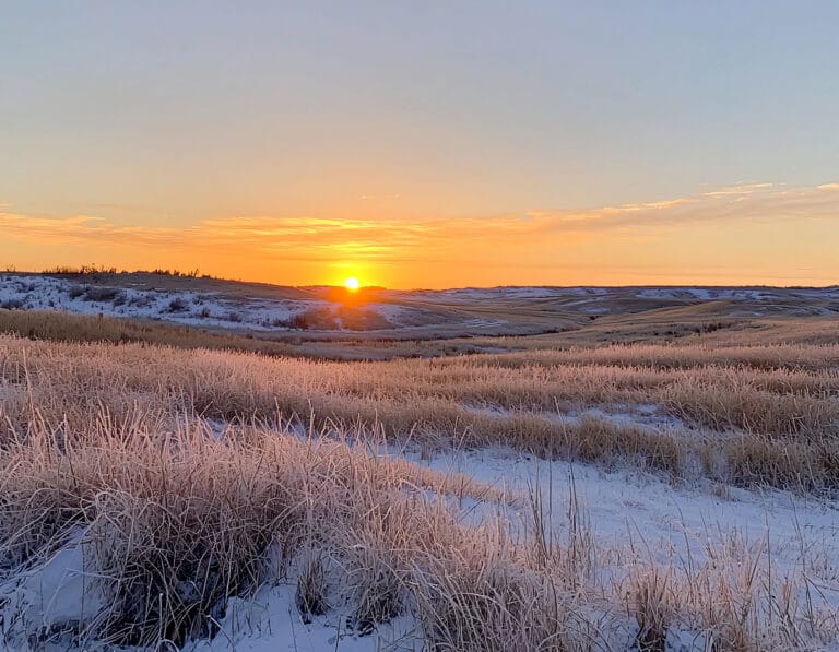 Lloyd RCMP locate 15-year-old girl | Meridian Source