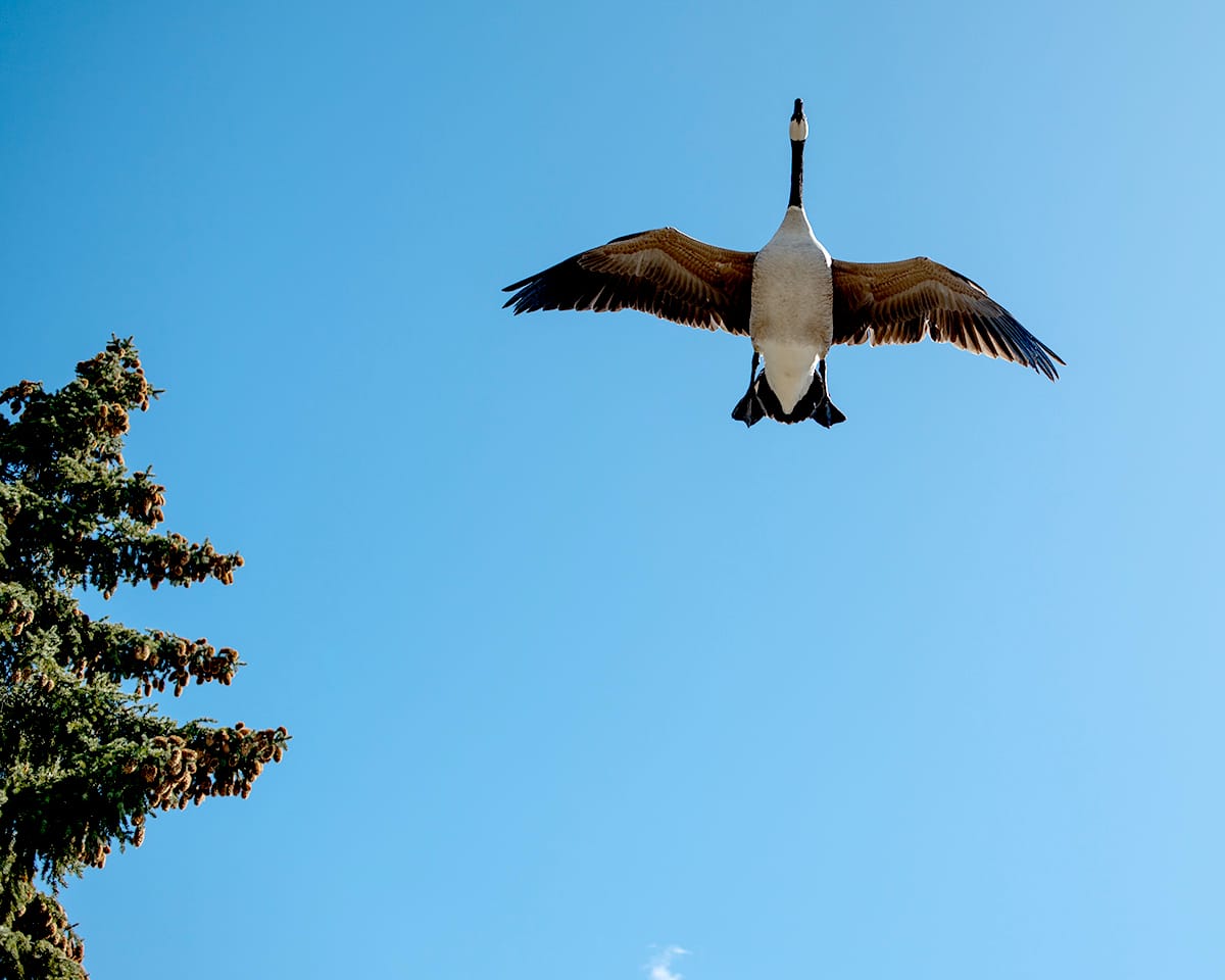 Lloydminster News | Meridian Source