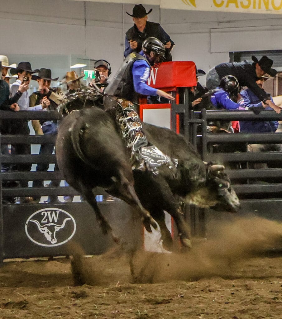 Digital Editions | Meridian Source