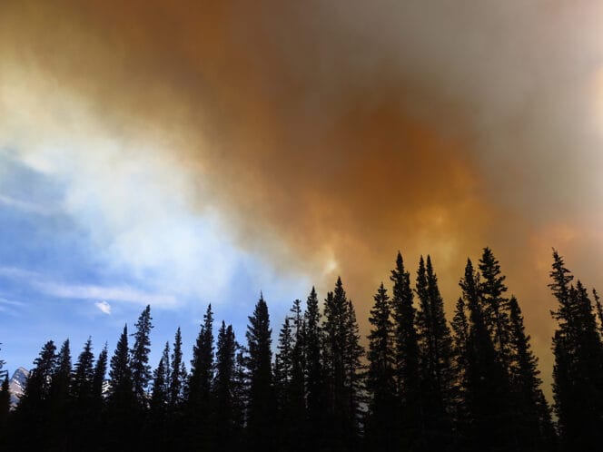 Saskatchewan Wildfires: what to know today | Meridian Source