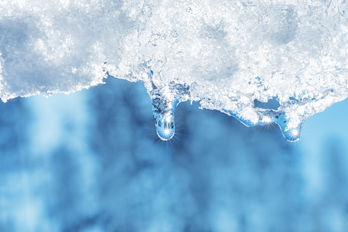 Homepage | Meridian Source