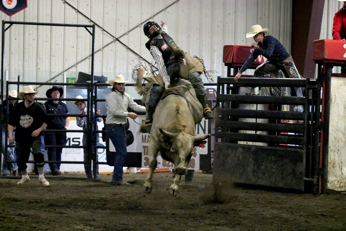 Party in the Pasture bucks wild with new events